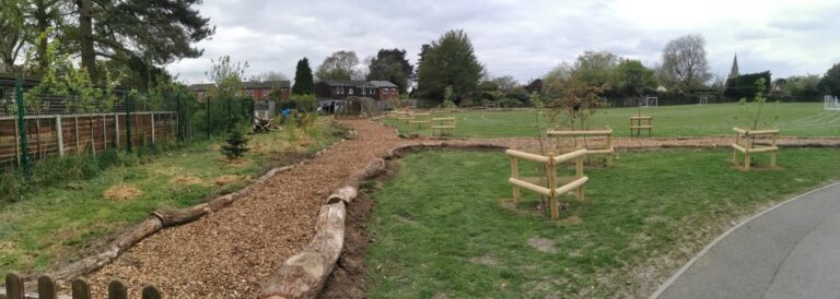 Setting up a Forest School Site from Scratch - Leaves of Green